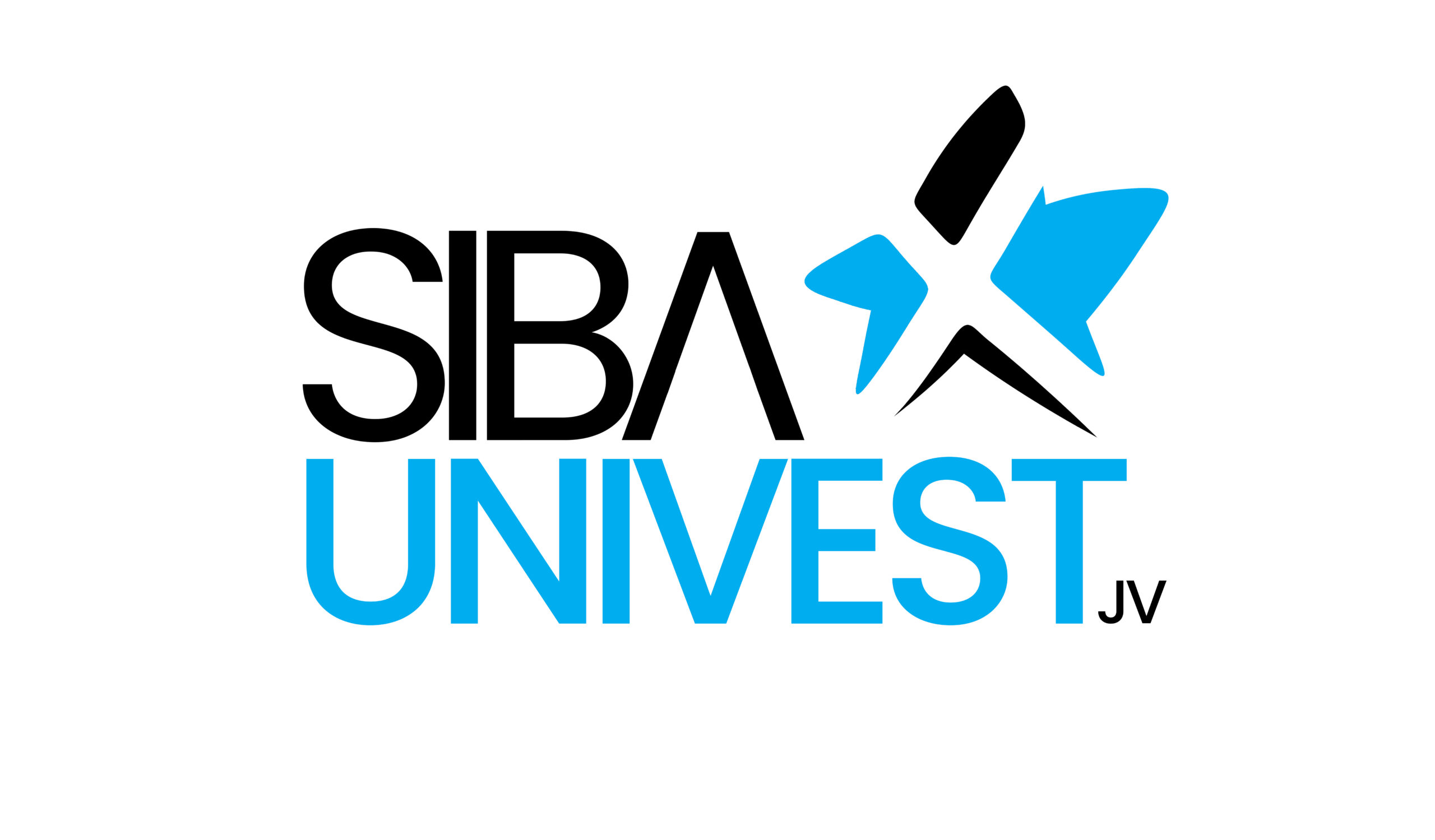 Home - Siba-Univest